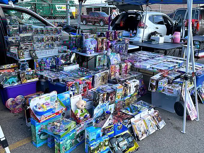 The outdoor market expands the hunting grounds for dedicated bargain seekers. Even the Illinois sky seems to approve of these deals.