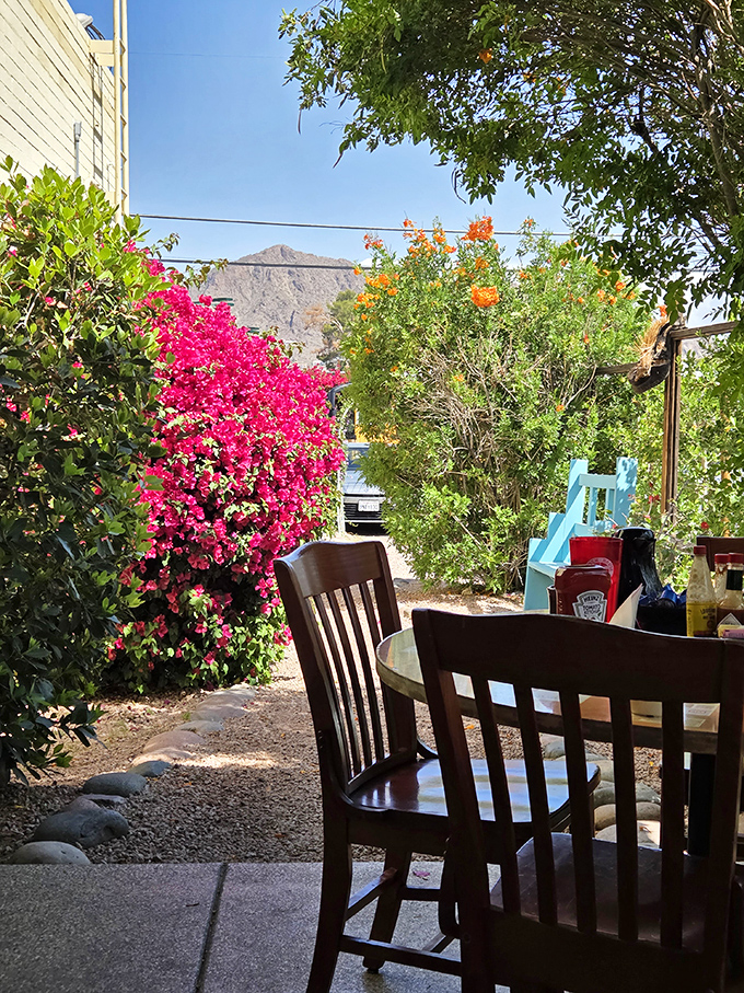 The outdoor patio offers bougainvillea blooms, mountain views, and the kind of Arizona morning that makes winter refugees smug.