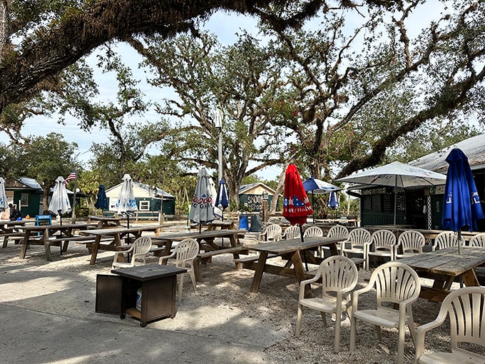 Nature provides the ceiling, picnic tables provide the seating. This outdoor dining area feels like the best backyard barbecue you've ever crashed.