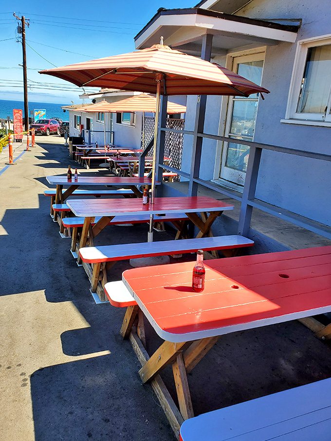 Red picnic tables lined up like soldiers ready for the daily battle against hunger. The ocean view is just a bonus for these hardworking tables.