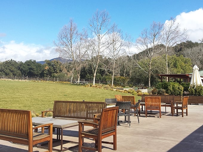 Nature provides the backdrop for this outdoor seating area where Santa Ynez Valley views compete with what's on your plate.