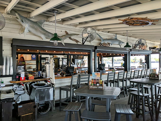 Dining under shark sentinels. The open-air seating area, complete with overhead marine life, offers the perfect blend of indoor comfort and outdoor ambiance.