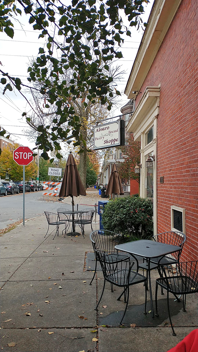 Fall in Harrisburg brings changing leaves and the perfect excuse to linger outside Alvaro's with a coffee and pastry, watching the world rush by while you savor the moment.