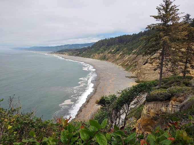 Dramatic coastline views reward hikers along Arcata's nearby trails. The Pacific puts on a show that beats anything on your streaming services.