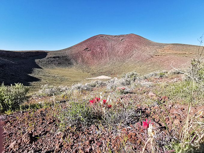 The colorful crater showcases nature's artistic side, painting the desert landscape with unexpected hues that change dramatically as the sun tracks across the sky.