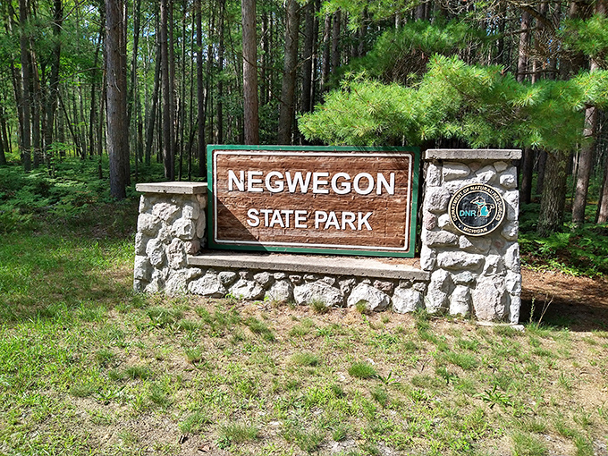 The gateway to wilderness. This unassuming entrance sign marks the boundary between everyday life and Negwegon's natural sanctuary.