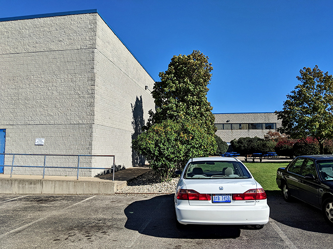 The parking lot reveals Michigan plates from counties far and wide&mdash;thrifting pilgrims who've traveled impressive distances for the famous bins.