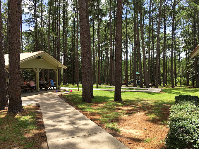Picnic pavilions nestled among longleaf pines offer shaded respite. The perfect spot to refuel before continuing your geological treasure hunt.