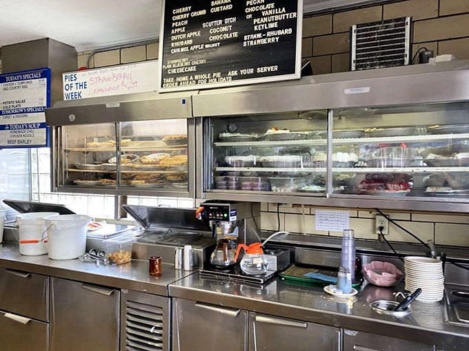 Behind this glass lies a museum of American pie artistry. Each shelf holds someone's perfect last meal on earth.