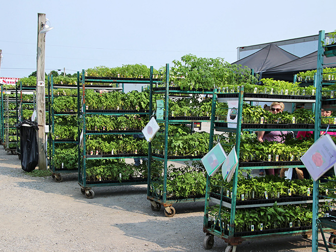 Green thumbs rejoice! Mobile gardens of starter plants ready to transform backyards across Ohio into vegetable patches and flower sanctuaries.