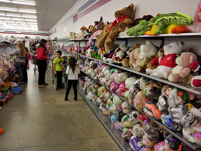 The stuffed animal adoption center. These gently-loved plush companions stand at attention, hoping to be the chosen one for a child's embrace.