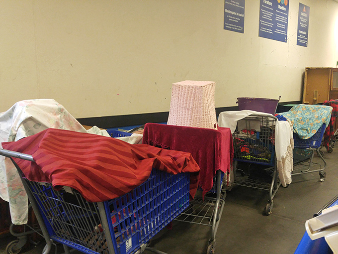 Carts draped with fabrics stand like patient sentinels, guarding their owners' carefully curated finds until checkout time arrives.