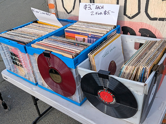 Vinyl revival in full swing. These records aren't just music&mdash;they're time machines to first dates, road trips, and teenage bedrooms.