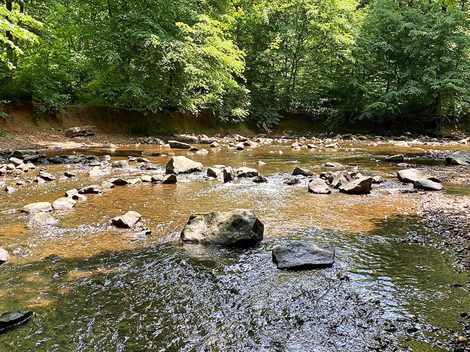 The gentle babble of Rittenhouse Creek provides nature's soundtrack, a welcome alternative to your neighbor's questionable playlist choices.