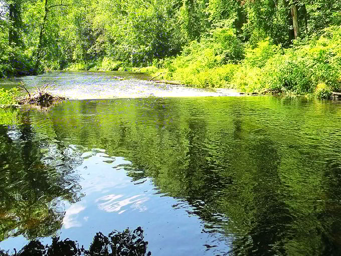 The Musconetcong River flows with the kind of crystal clarity that makes fly fishermen weak in the knees and photographers reach for their cameras.