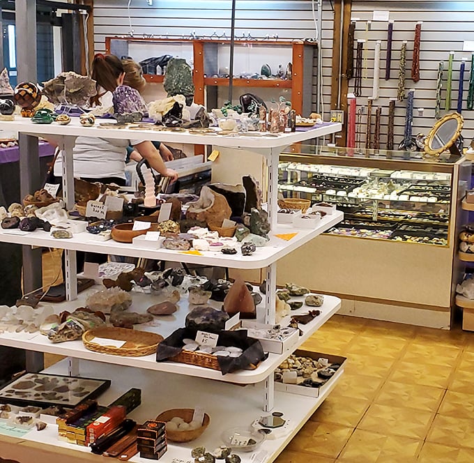 Rock enthusiasts find their happy place amid geological wonders that transform ordinary shelves into museum-worthy displays of Earth's hidden treasures.