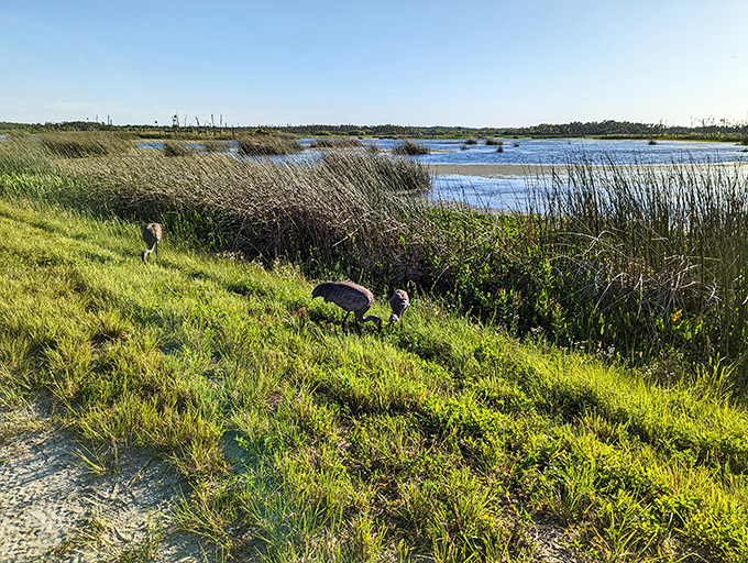 Wetlands and wildlife create nature's theater at Seminole Ranch, where the only admission price is the time you choose to spend