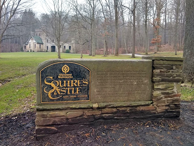 Winter strips the castle landscape to its essential elements, the stone structure standing in stark relief against the bare forest.