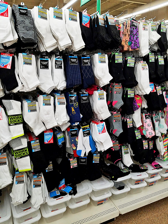 Sock heaven! Where foot fashion meets function without the designer price tag that makes your wallet weep.