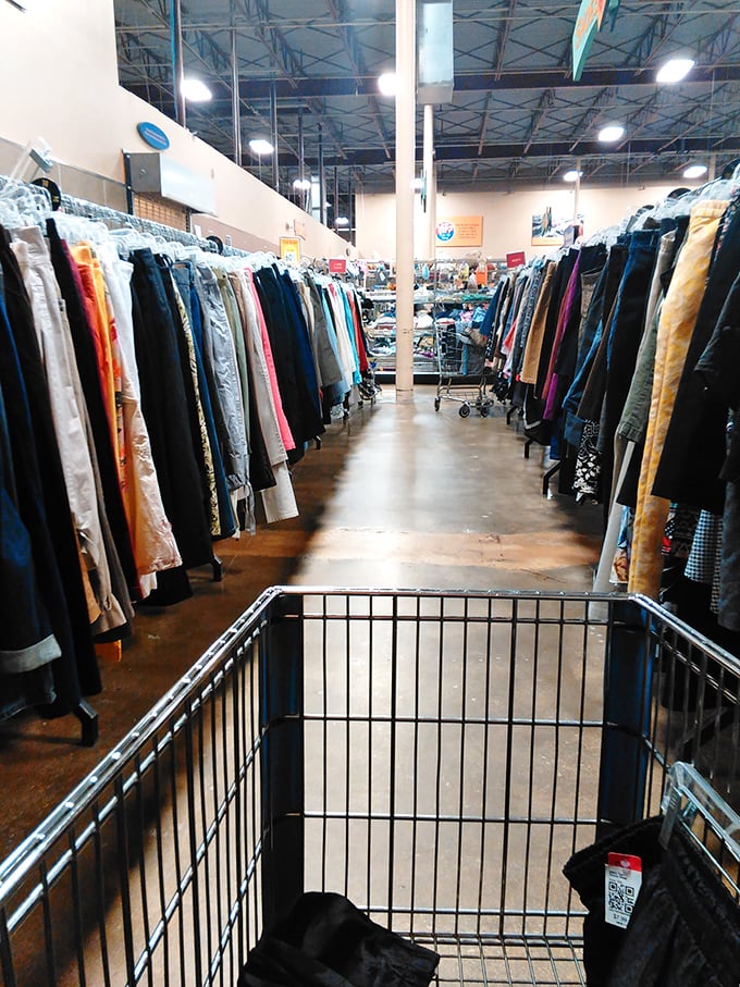 From this vantage point, you can almost hear the whispers of "I can't believe this is only three dollars!" echoing through the aisles.