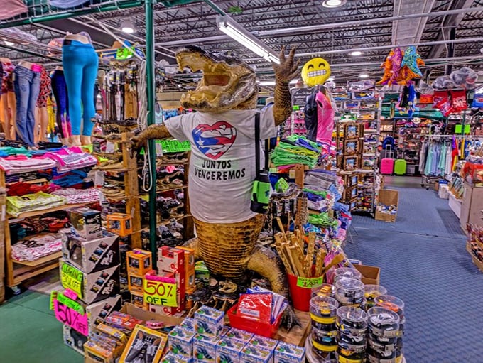 Even the alligators dress for success at Visitors Flea Market, sporting a t-shirt that's both patriotic and ready for a Florida photo op.