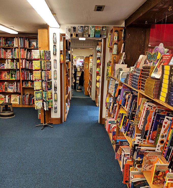 Narrow passages between towering shelves create the perfect literary canyons for readers to explore and get delightfully lost in.
