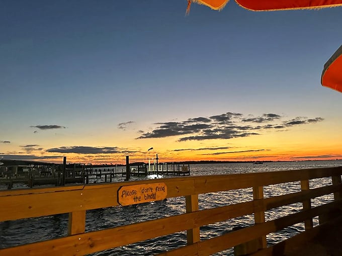 "Please don't feed the birds" &ndash; the hardest rule to follow when you're experiencing a sunset this magical. Some views simply can't be improved upon.