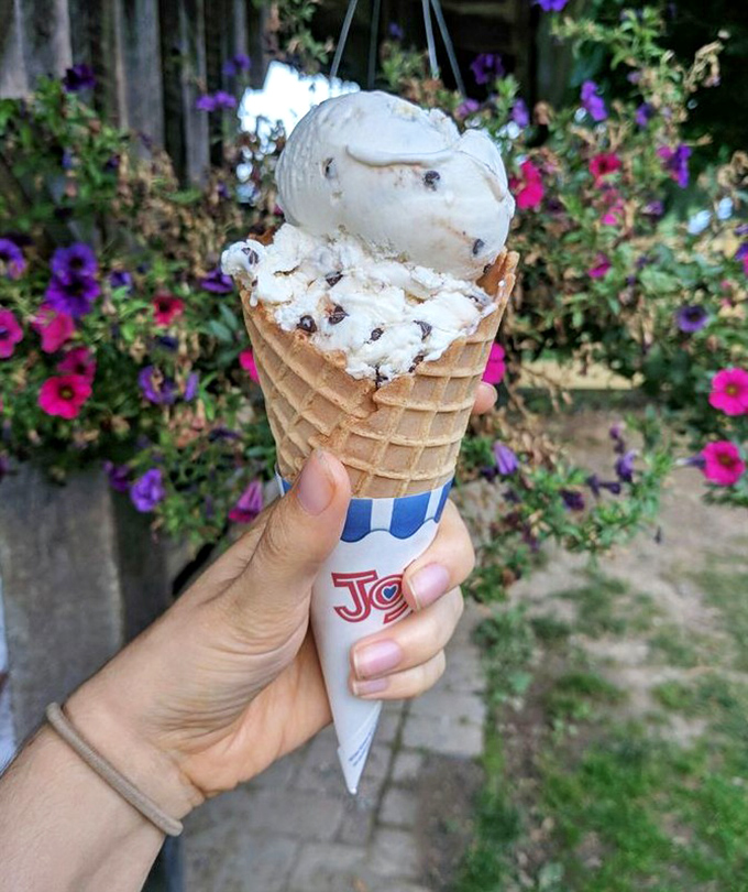 Vanilla ice cream meets chocolate chip cookies in a cone wrapper. Simple pleasures elevated to art form against a backdrop of summer blooms.