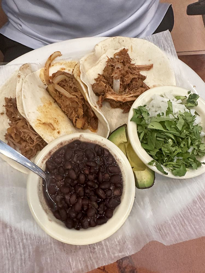 Tacos that respect tradition while celebrating fresh ingredients. That cilantro isn't just garnish&mdash;it's the exclamation point on a perfect sentence.