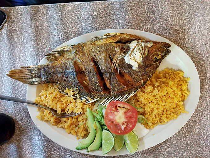 Whole fish that stares back at you with pride. This crispy tilapia with its citrus companions is seafood at its most honest and delicious.