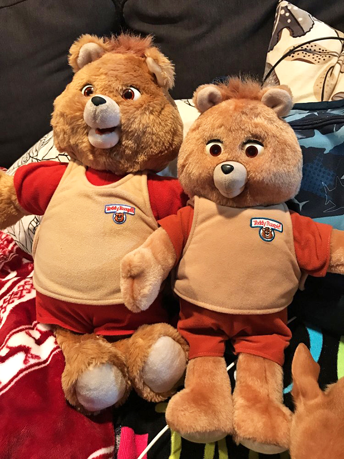 Teddy bears await new adventures, proving that some friendships are worth a second chance at happiness.