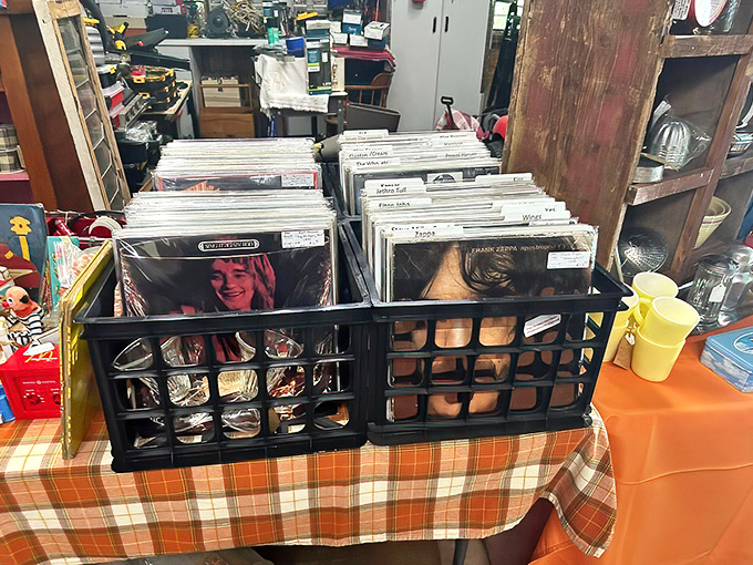 Record collections that survived basement floods and teenage breakups now seek new turntables to call home. Musical archaeology at its finest.