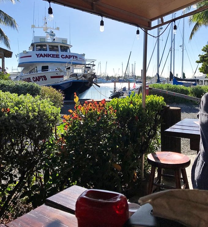 Dining with a dock view&mdash;where your seafood lunch comes with a side of working marina authenticity no oceanfront resort can match.