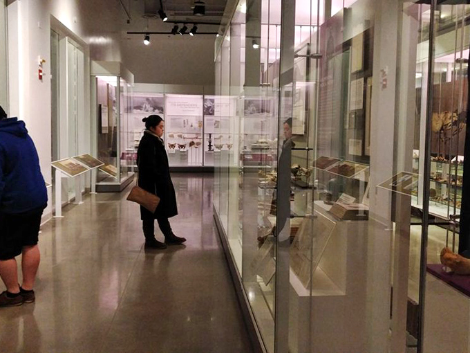 Fellow explorers discovering hidden gems behind glass. The museum offers the same hushed reverence of a wine cellar tour, but with preserved specimens instead of vintages.