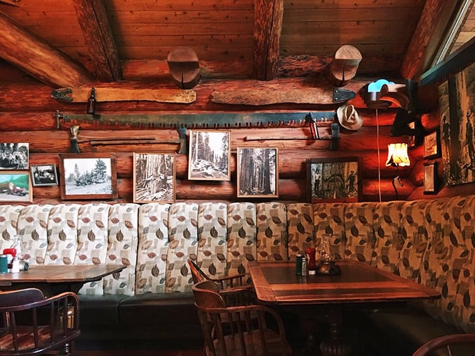 Vintage logging photos and tools line the walls, telling stories of an era when "going viral" meant you needed penicillin, not more followers.
