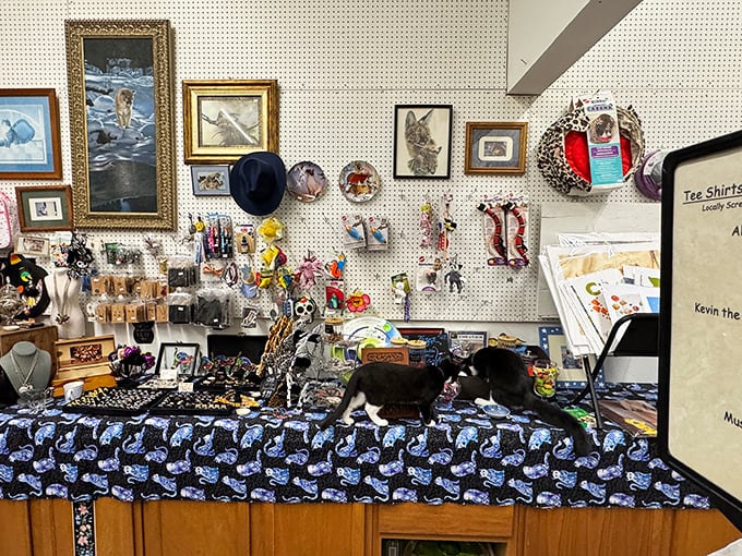 The gift shop offers a purr-fect opportunity to bring home cat-themed treasures that you absolutely need but definitely don't have space for.