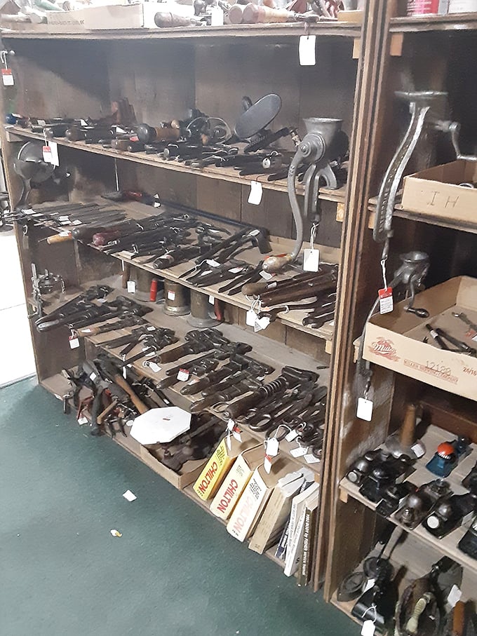 The tool collector's dream &ndash; rows of implements whose purposes have been forgotten by most but remain priceless to passionate restorers.
