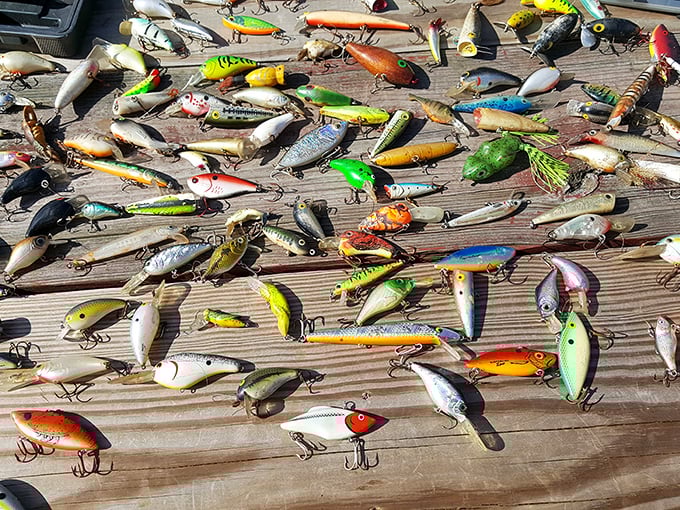 Fishing lures spread out like candy—a kaleidoscope of colors and shapes designed to catch fish and collectors with equal effectiveness.
