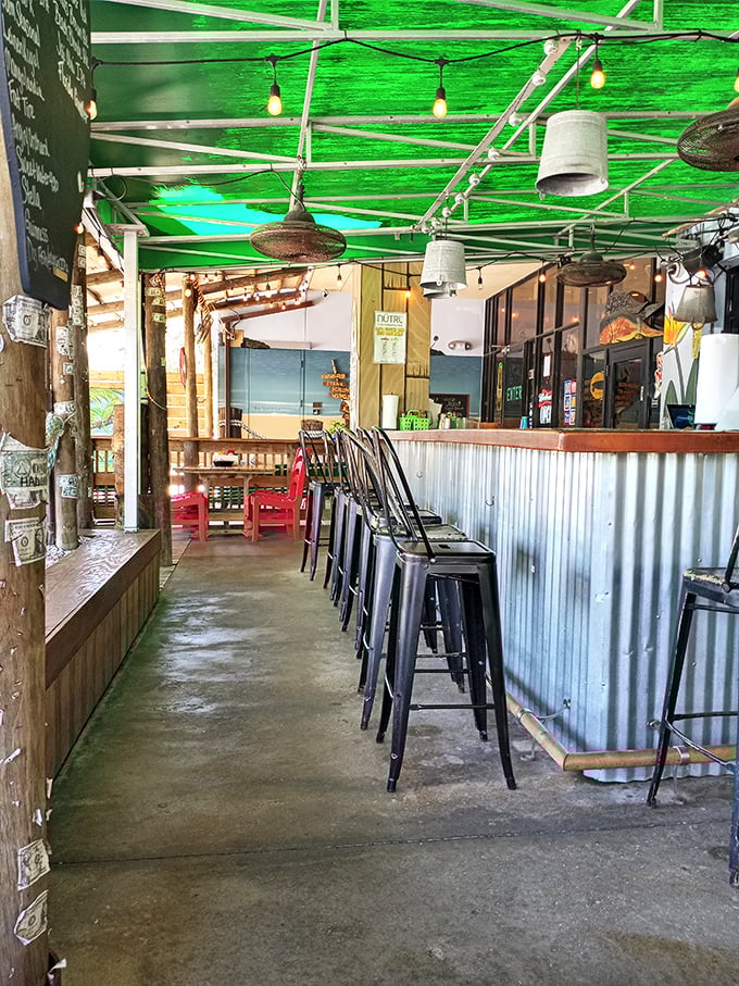 The bar area glows green like an underwater grotto, with string lights creating the perfect ambiance for seafood storytelling and cold beer sipping.