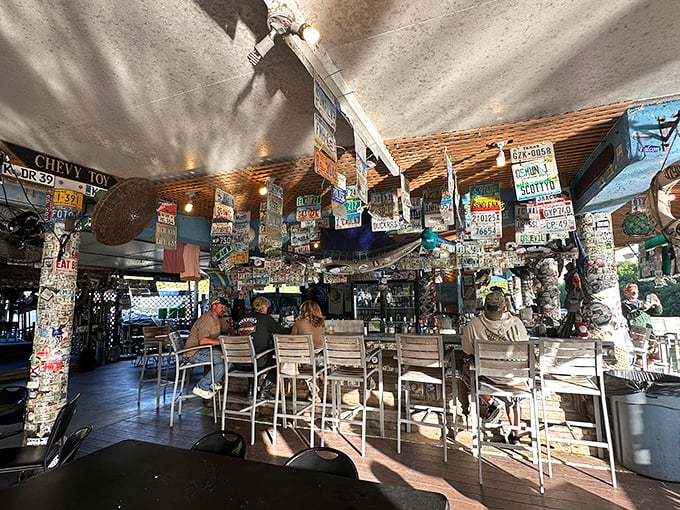 The bar area, where license plates from visitors past create a patchwork ceiling and every stool has a story to tell.