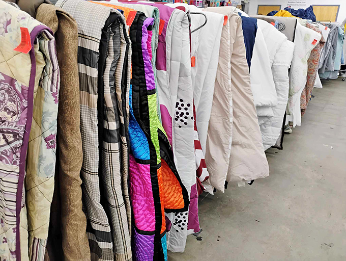 Bedding bonanza that proves sweet dreams don't have to cost a fortune or sacrifice quality comfort.