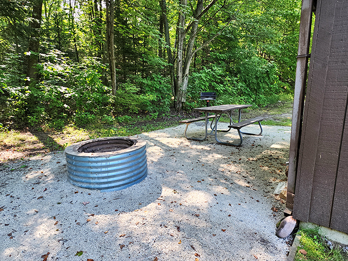 Simple pleasures: a metal fire ring, picnic table, and surrounding forest create the stage for camping memories that outlast fancy hotel stays.