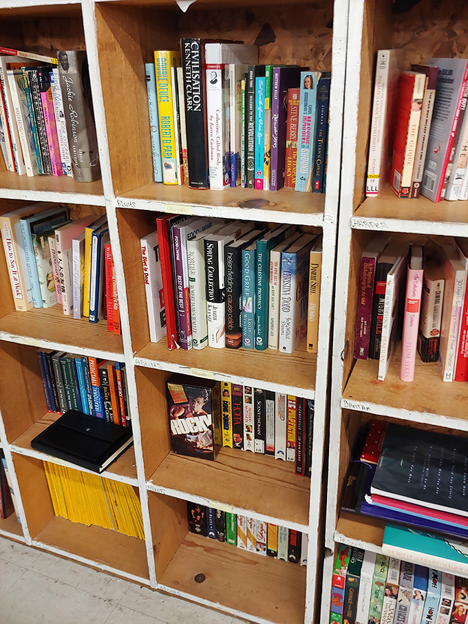 Books upon books, stories within stories. From forgotten bestsellers to vintage cookbooks, these shelves hold worlds waiting to be rediscovered.