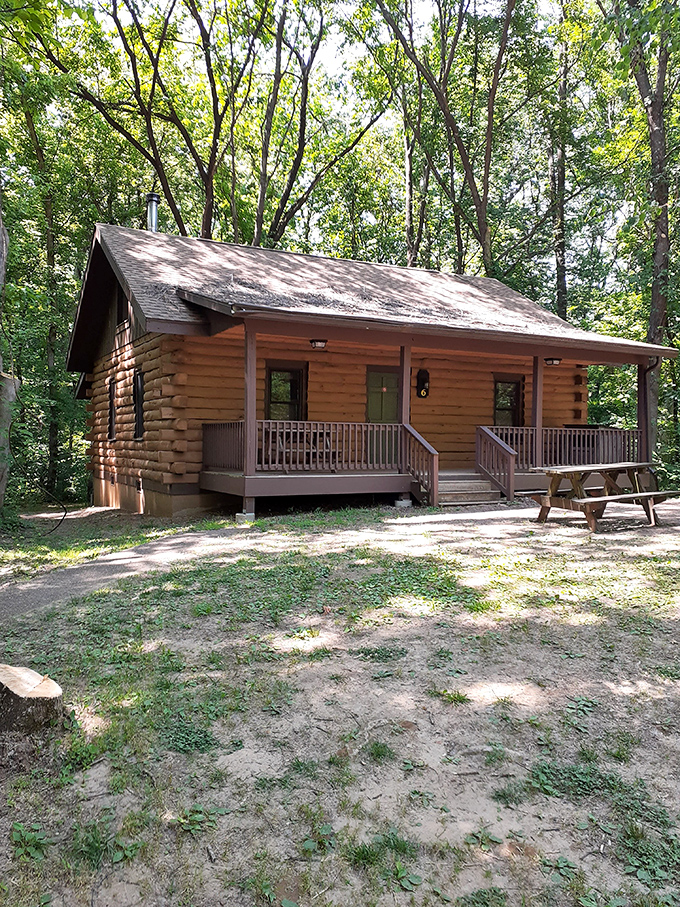 Rustic luxury isn't an oxymoron&mdash;it's this cabin. All the comforts of home with none of the distractions, nestled among trees that have seen it all.