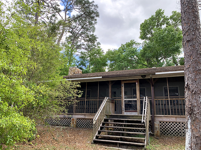 Rustic cabin living that makes you wonder why we ever invented high-rise condos. Simplicity with a screened porch &ndash; perfection.