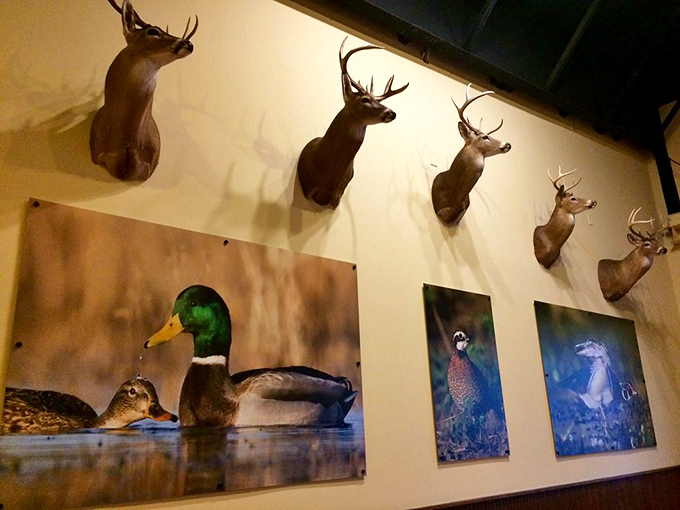 Wall-mounted deer and waterfowl artwork create an atmosphere that screams "Mississippi" without saying a word. Taxidermy as interior design done right.