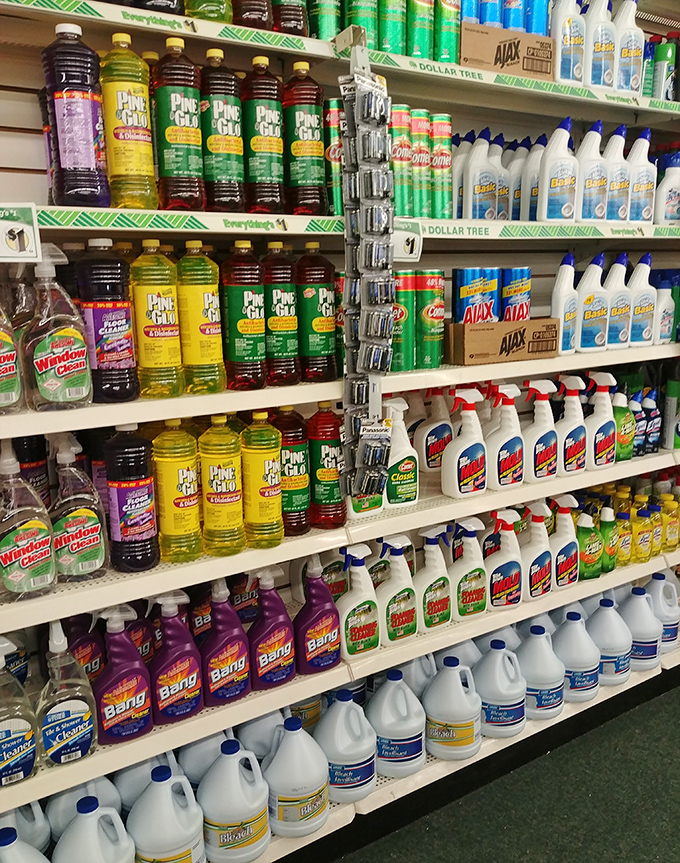 The cleaning supply motherlode that makes adulting slightly less painful. Stock up on household essentials without the usual sticker shock of responsible living.