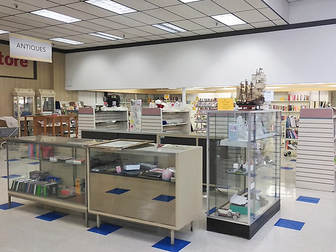 Display cases housing miniature treasures &ndash; where collectibles wait patiently for someone who'll appreciate their quirky charm.