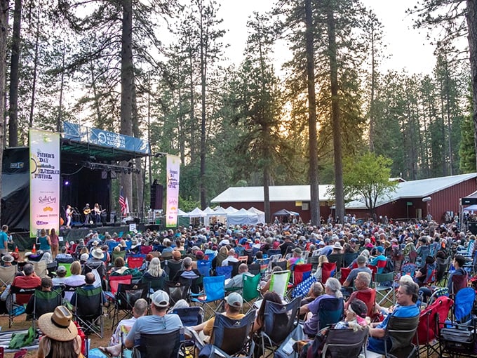 Summer concerts under pine trees &ndash; where locals bring serious folding chair game and strangers become friends by the second set.