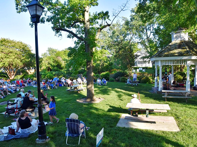 Summer concerts in the park bring locals and visitors together on the lawn, proving that the best entertainment doesn't always require a screen or Wi-Fi password.